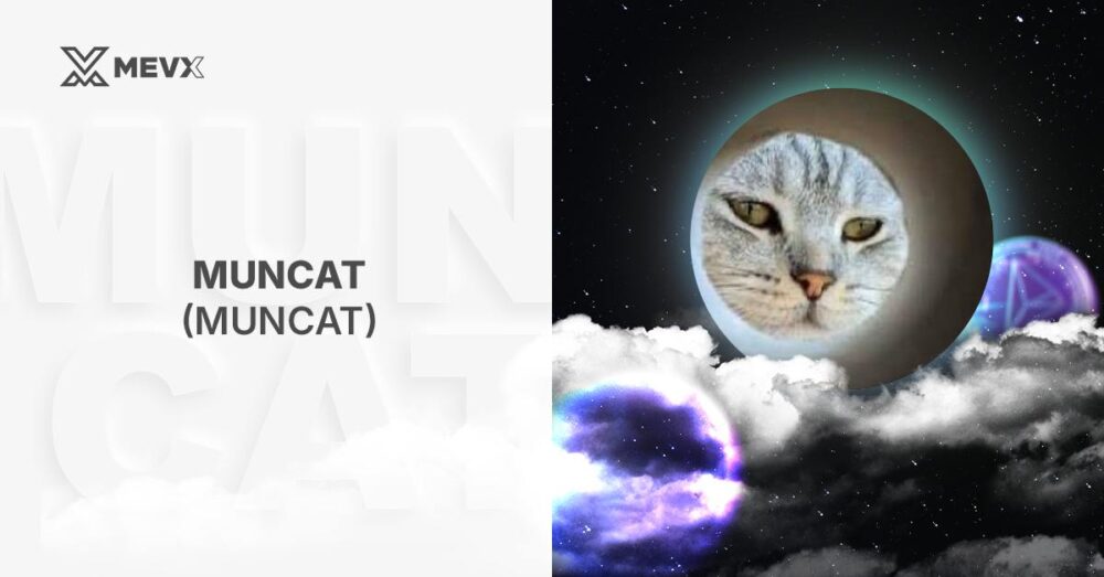 TRON's Featured Meme Coins: What’s Trending in 2024? - Platform Trading ...