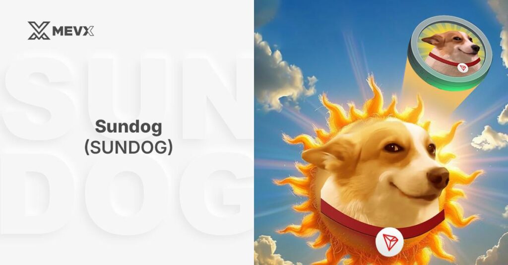 TRON's Featured Meme Coins: What’s Trending in 2024? - Platform Trading ...