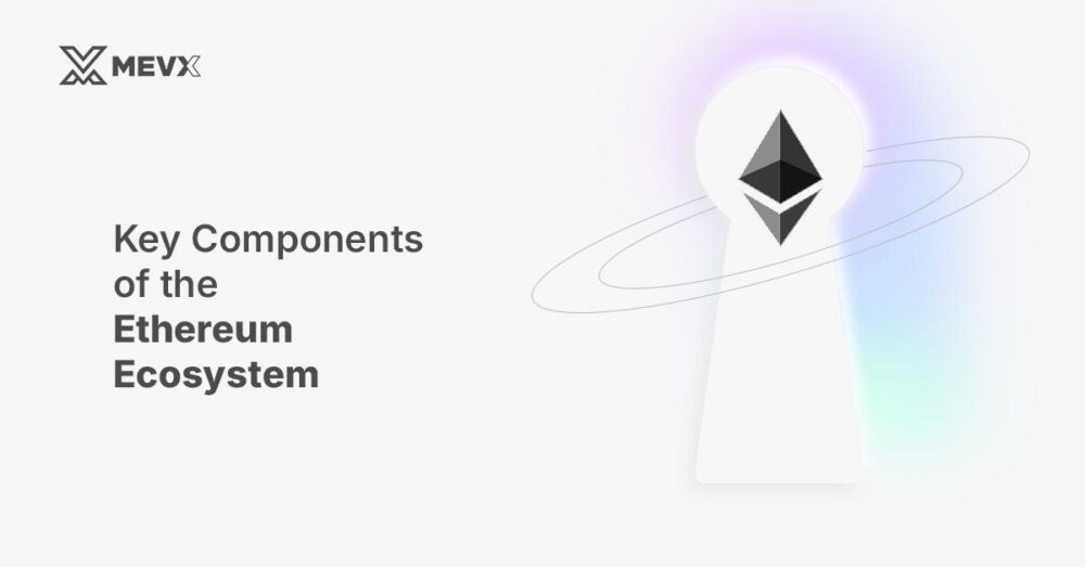 The Ethereum Ecosystem: The World’s Leading Decentralized Platform ...