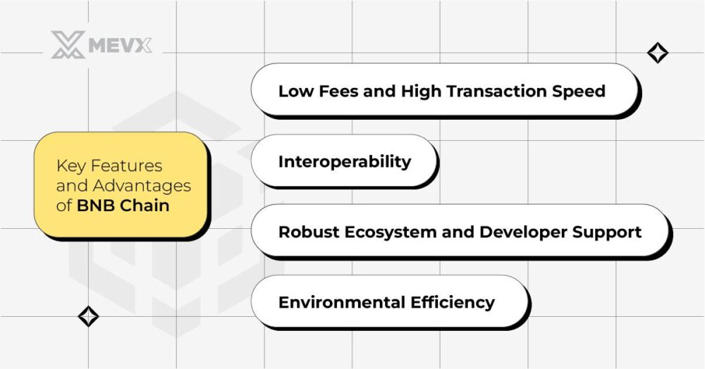 BNB Chain: What is It and Why is It Important? - Platform Trading Bot Mevx