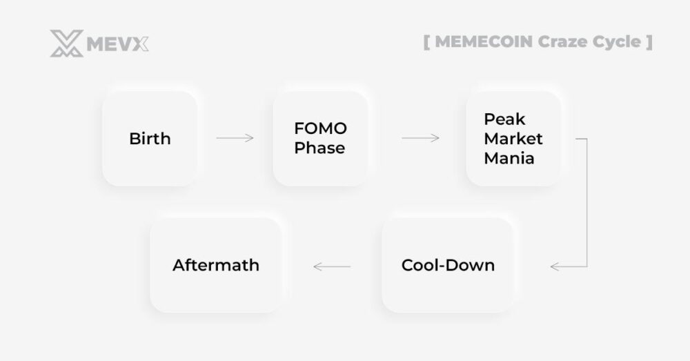 The Memecoin Craze Cycle: A Deep Dive into Cryptocurrency's Most ...