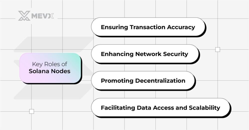 Understanding Solana Nodes: Powering the High-Performance Blockchain - Platform Trading Bot Mevx