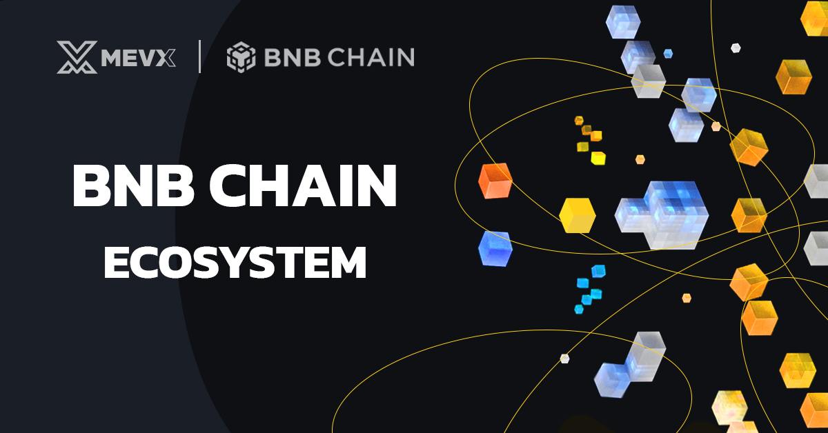 Exploring the BNB Chain Ecosystem: Key Projects and Partnerships - Platform Trading Bot Mevx