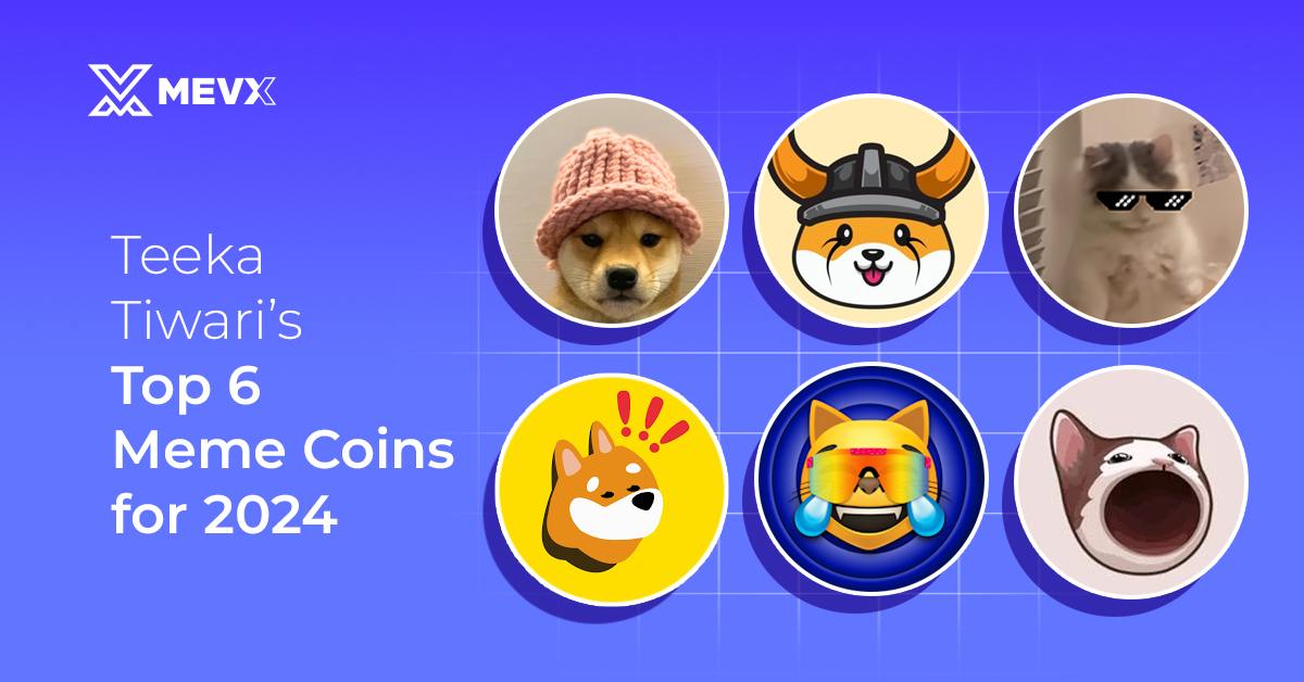 Teeka Tiwari 6 Meme Coins and Insights for 2024 - Platform Trading Bot Mevx