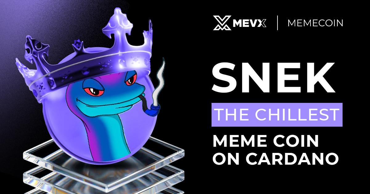 Snek Meme Coin (SNEK): The Chillest Meme Coin on Cardano in 2025 ...