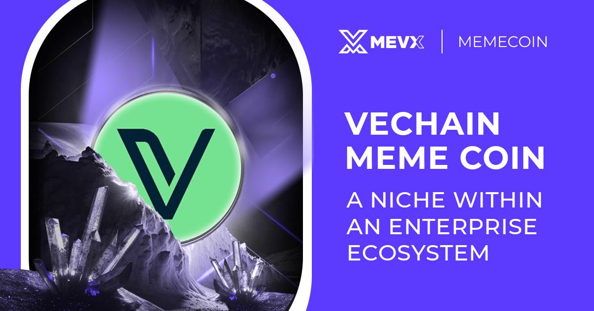 VeChain Meme Coin: A Niche Within an Enterprise Ecosystem - Platform ...