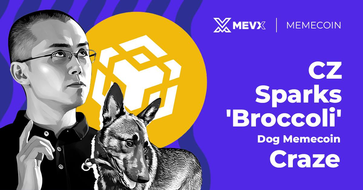 CZ Sparks Broccoli Dog Memecoin Craze: A Cautionary Tale - Platform ...