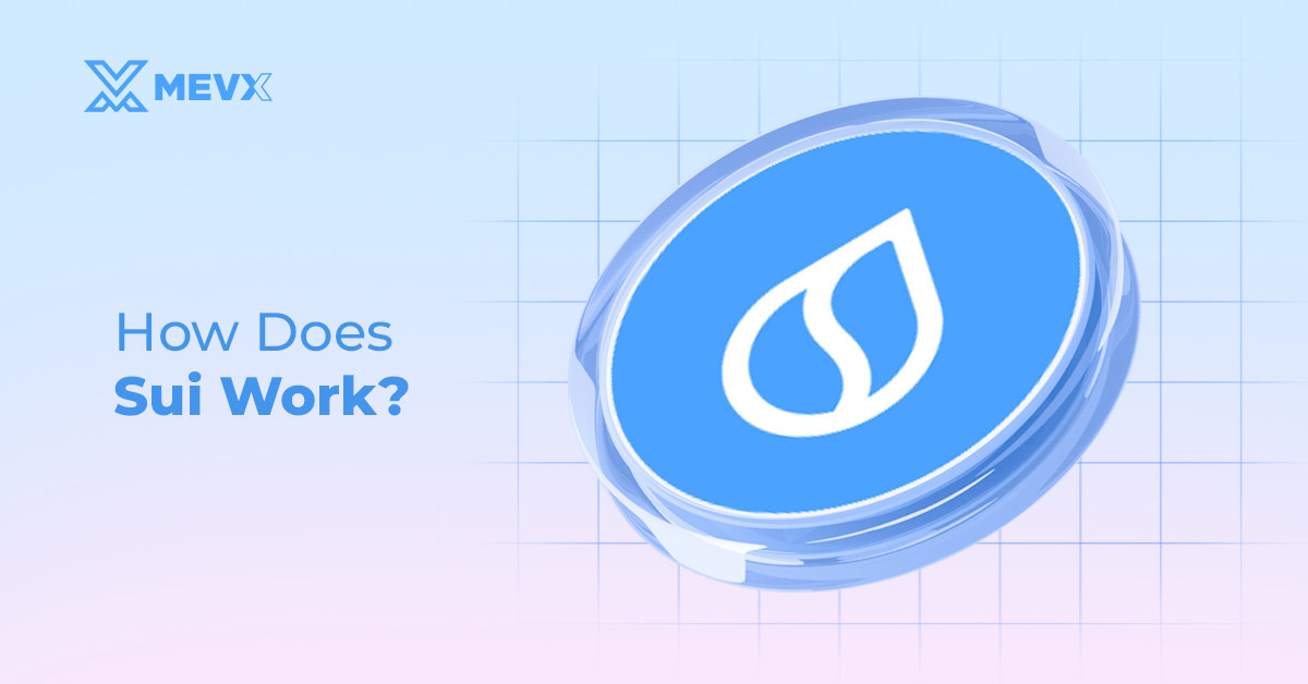 Sui Network: The Future of Scalable and Efficient Decentralized Applications - Platform Trading ...