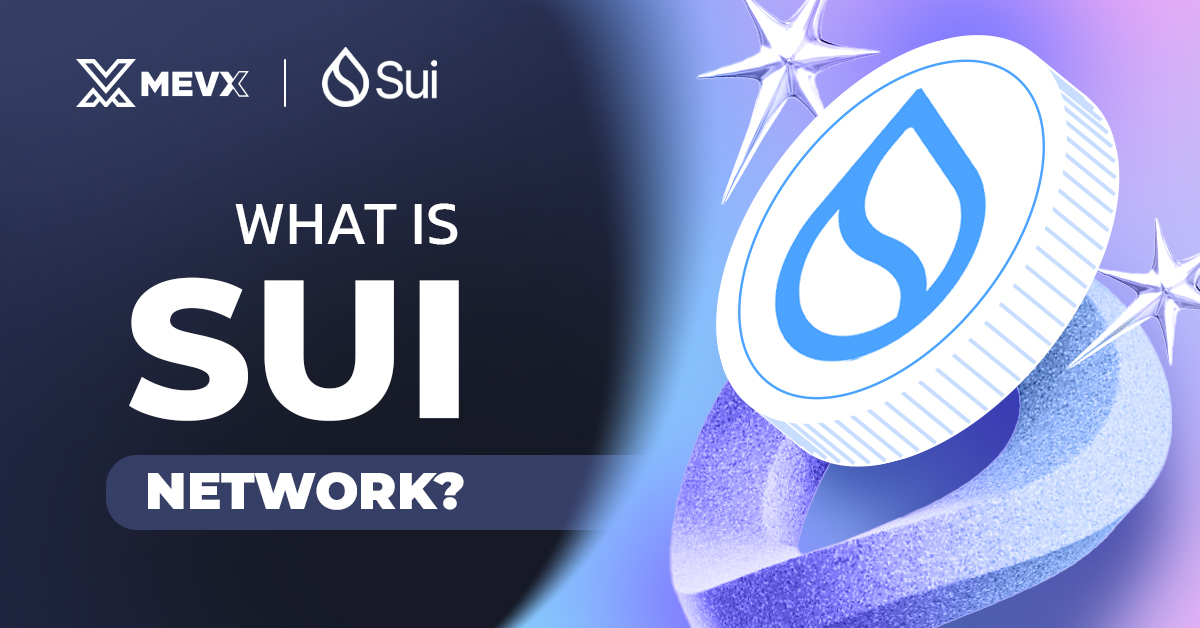 Sui Network: The Future of Scalable and Efficient Decentralized Applications - Platform Trading ...