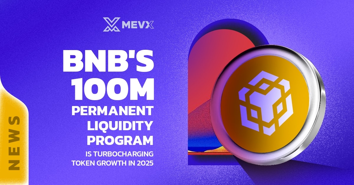 BNB's $100M Permanent Liquidity Program is Turbocharging Token Growth in 2025 - Platform Trading ...