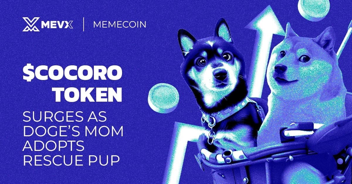 $COCORO Token Surges as Doge’s Mom Adopts Rescue Pup Cocoro - Platform ...