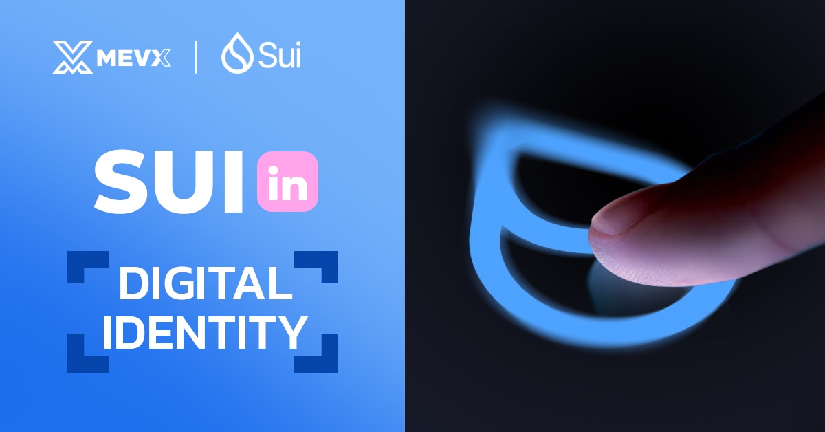 The Role of SUI in Digital Identity: Privacy and Security - Platform ...