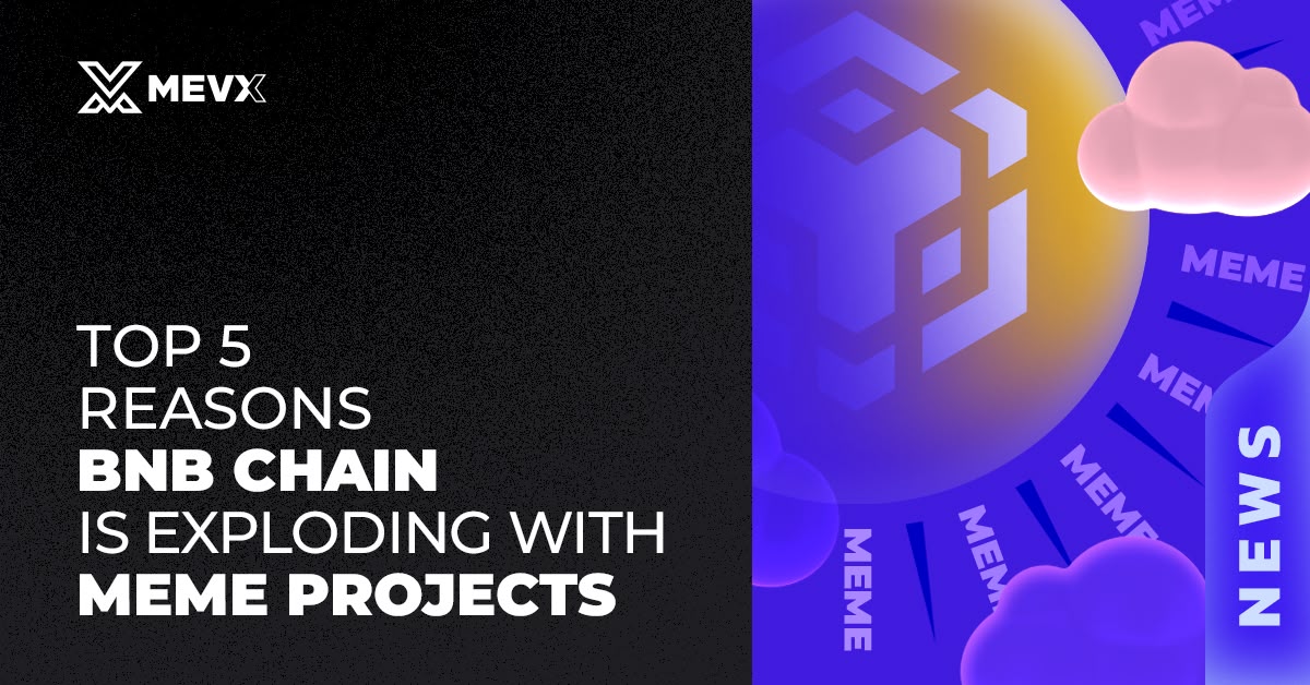 Top 5 Reasons BNB Chain Is Exploding with Meme Projects - Platform ...