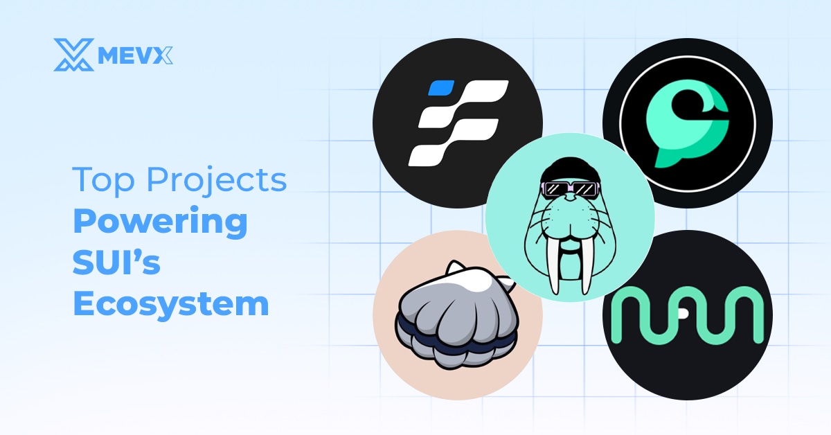 SUI’s Ecosystem Growth: Top Projects and Developments