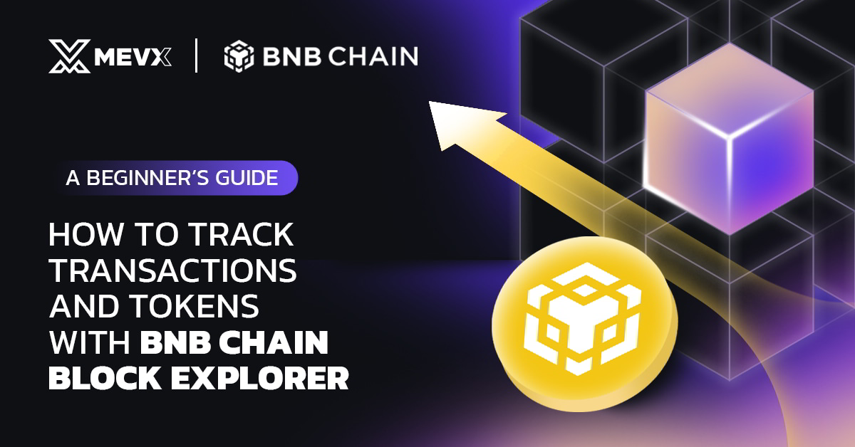 How to Track Transactions and Tokens with BNB Chain Block Explorers: A Beginner's Guide ...