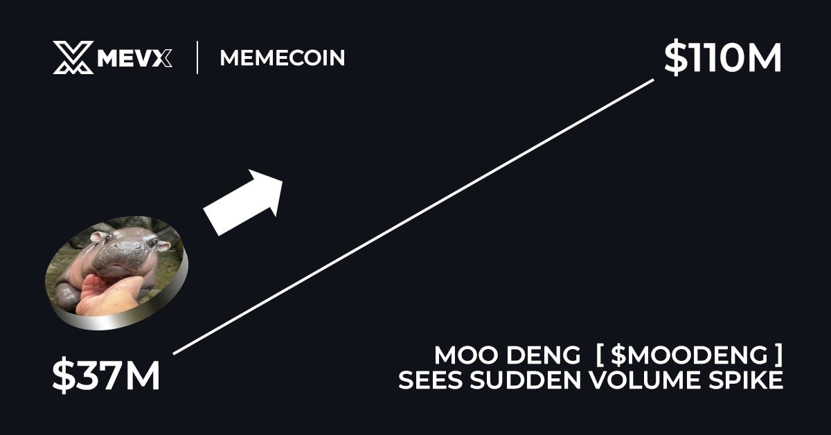Moo Deng ($MOODENG) Sees Sudden Volume Spike, Market Cap Jumps from ...