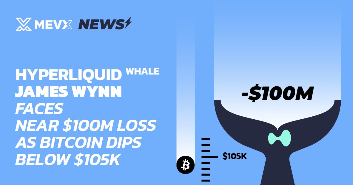 Hyperliquid Whale James Wynn Faces Near $100M Loss as Bitcoin Dips Below $105K - Platform ...