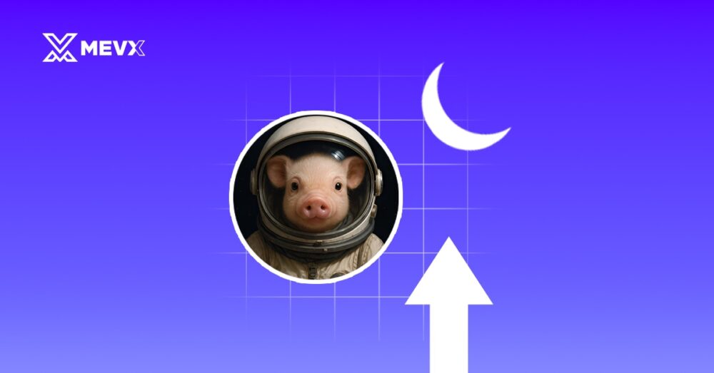 $moonpig meme coin price prediction 2025