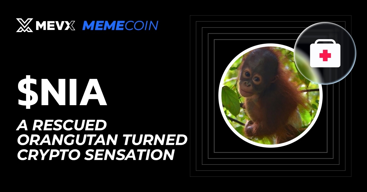 $Nia Meme Coin: A Rescued Orangutan Turned Crypto Sensation - Platform Trading Bot Mevx