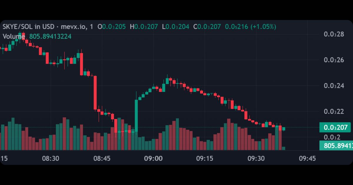 The Rise of Meme Coins Inspired by Skye Valadez - Platform Trading Bot Mevx